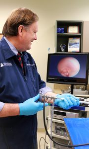 Transcervial Insemination (TCI) in Rochester & Dover, NH | Broadview ...